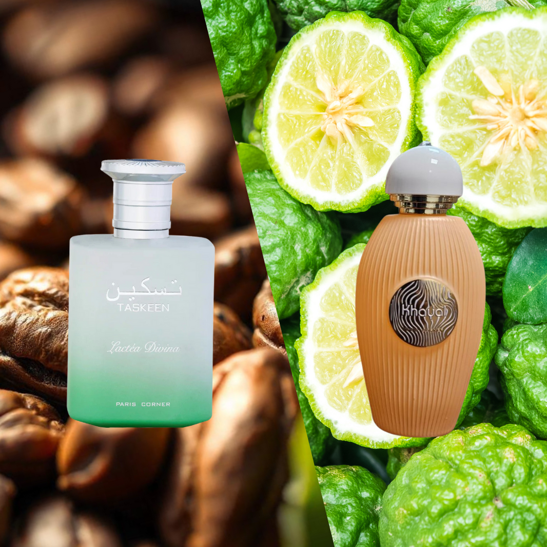 Aroma Concepts LLC | Best online perfume shop in US