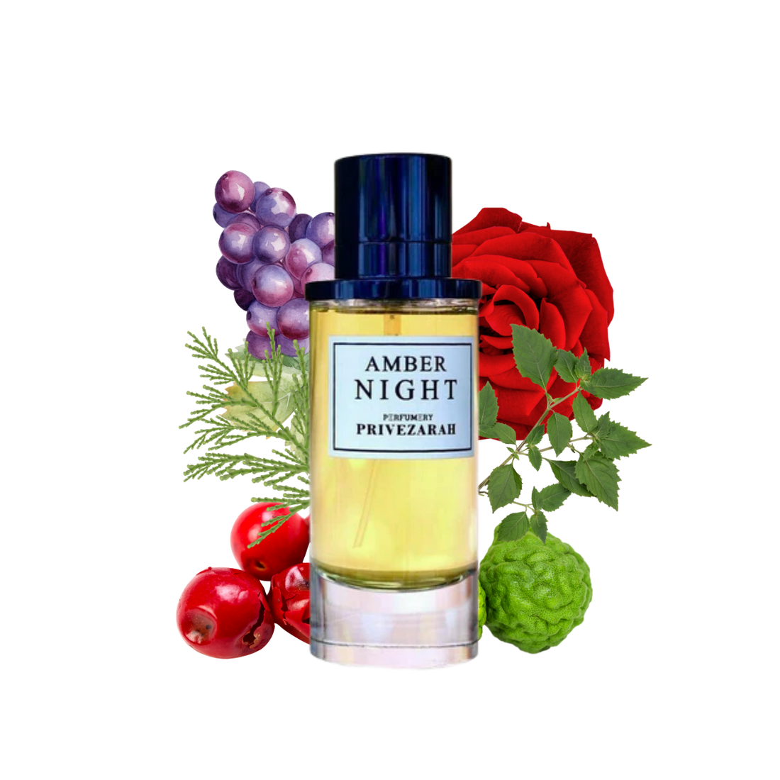 Buy Aromatic AMBER NIGHT Perfume - Best unisex Scent | Aromaconcepts ...