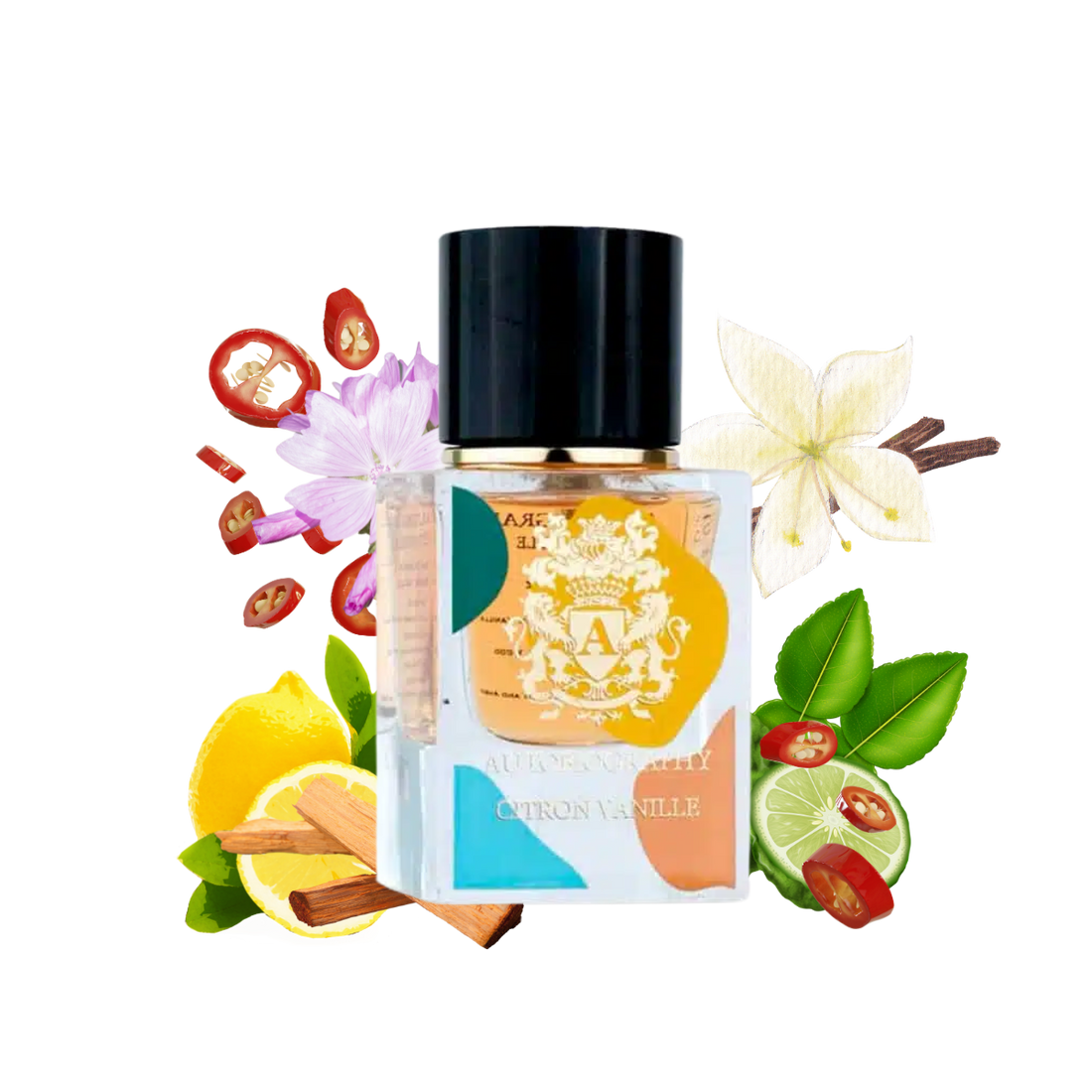 Buy CITRONE VANILLE - Citrusy scent for men – Aroma Concepts LLC