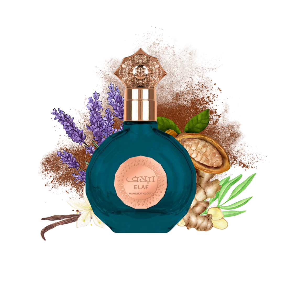 Elaf | Aromaconcepts – Aroma Concepts LLC