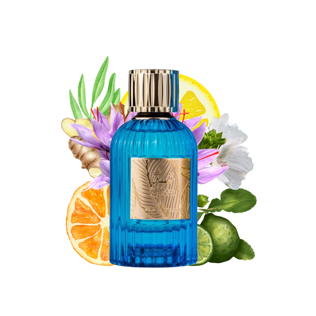 Buy QISSA By Paris Corner Perfumes – Aroma Concepts LLC