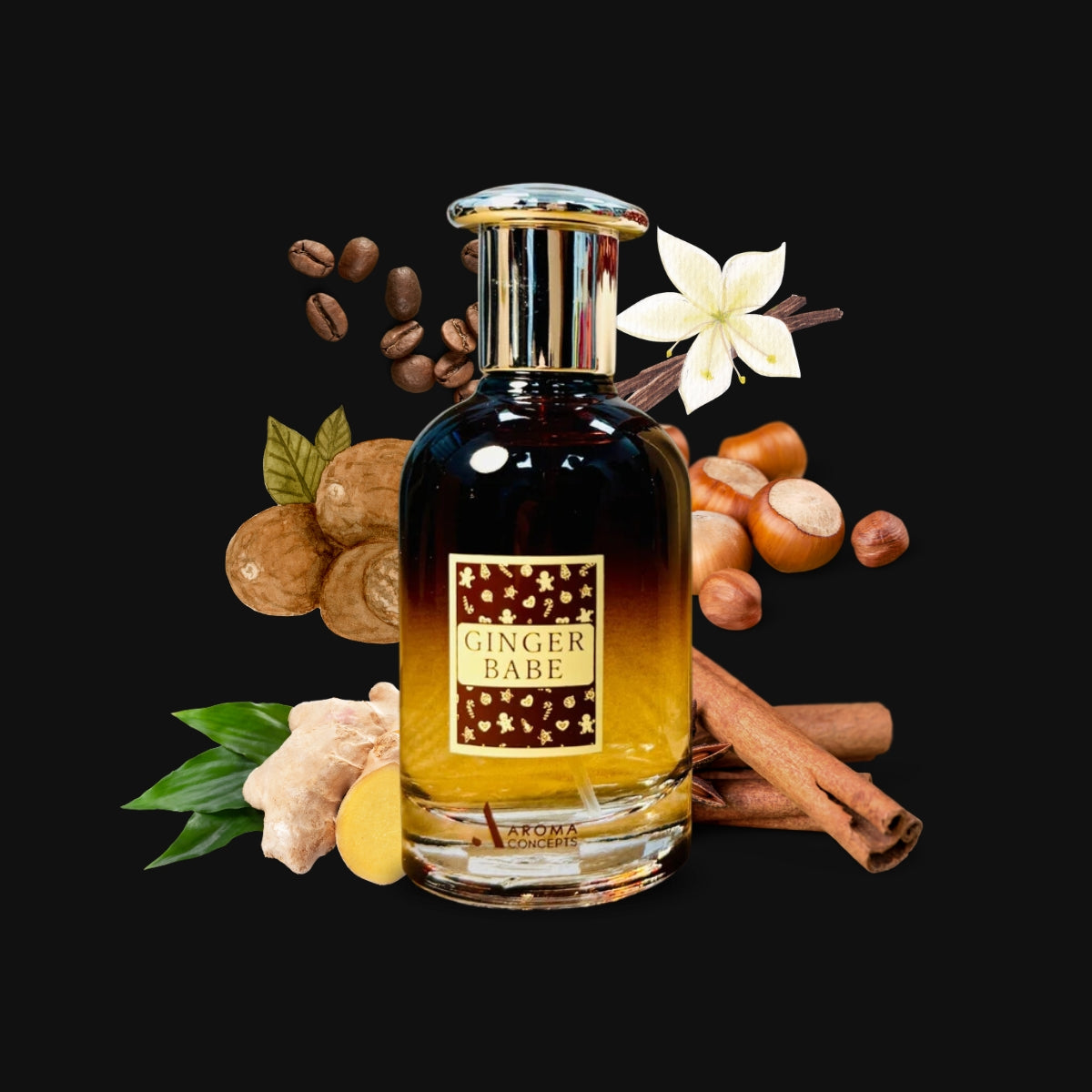 Aroma Concepts LLC | Best online perfume shop in US