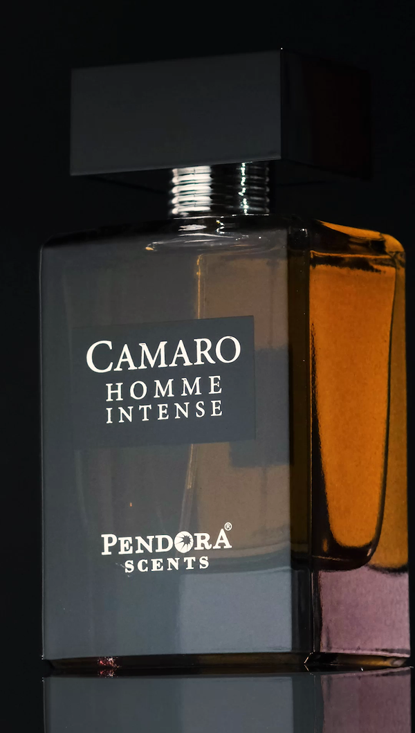Buy CAMARO HOMME INTENSE EDP for Men | Aromaconcepts – Aroma Concepts LLC