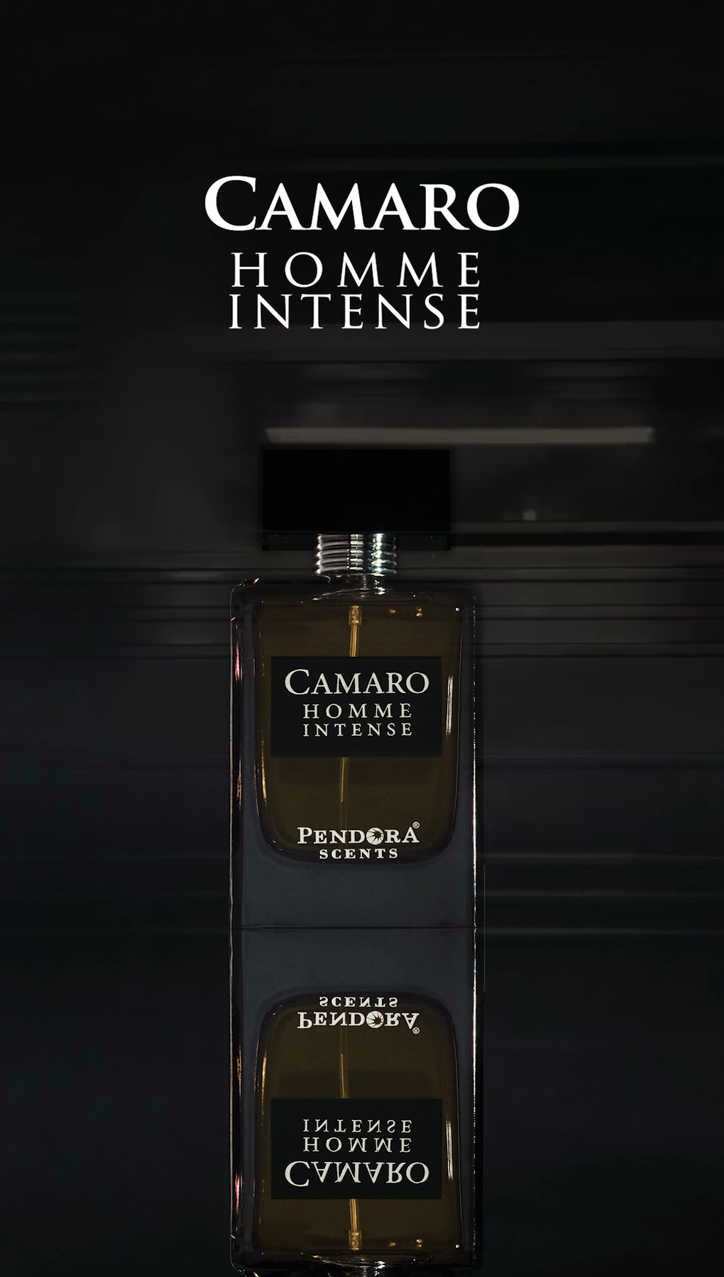 CAMARO HOMME INTENSE – Aroma Concepts